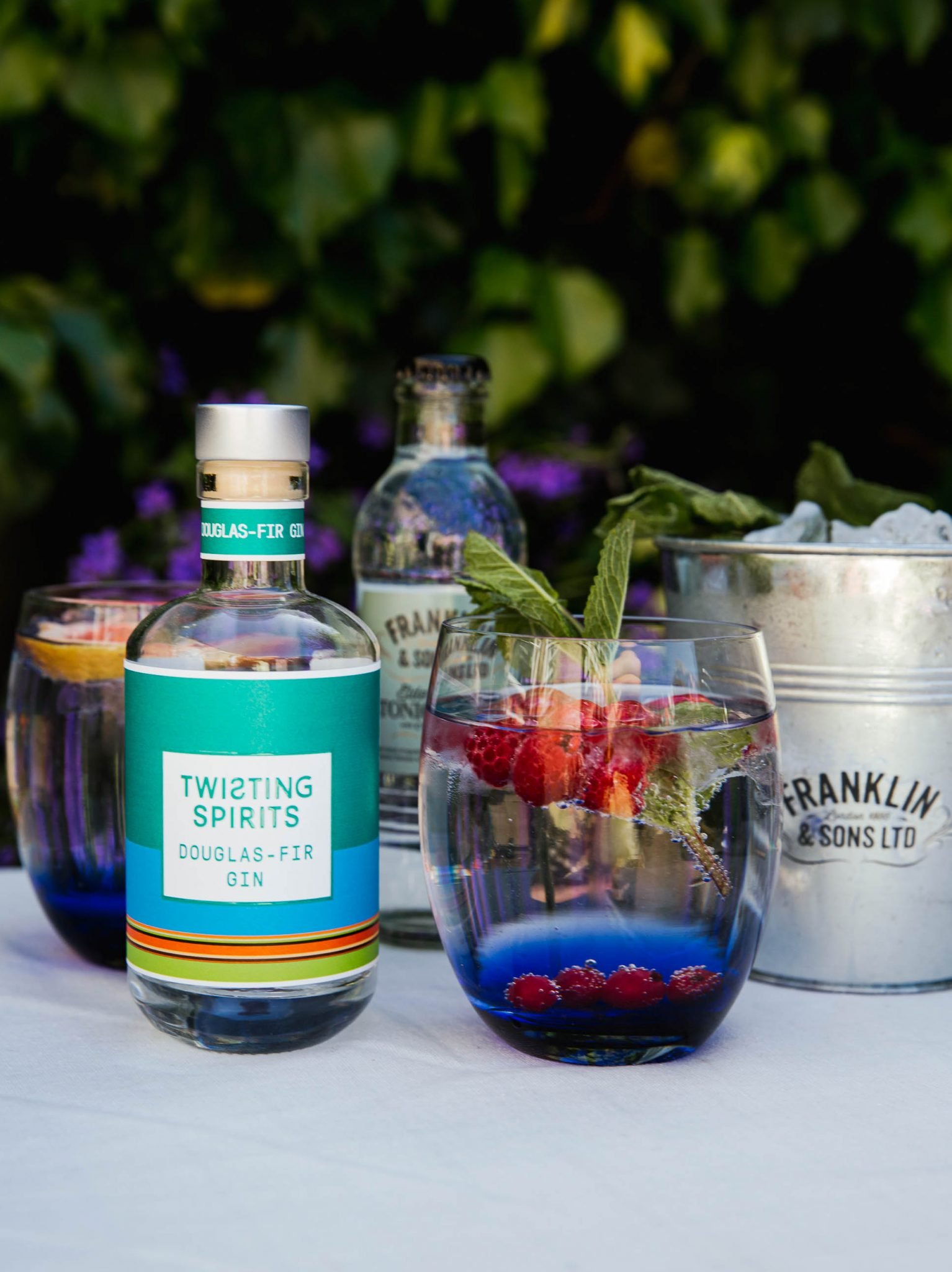 Top 10 Gin Garnishes: The Finishing Touches To Your Drink| Twisting Spirits